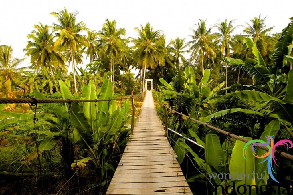 Bantam - Banten - West Java Tourism - Photo Gallery - sawarna beach ...