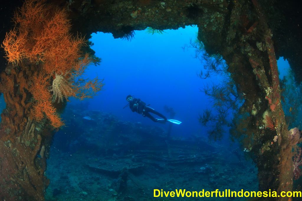 Indonesian Diving Tourism - Photo Gallery - divewonderfulindonesia042