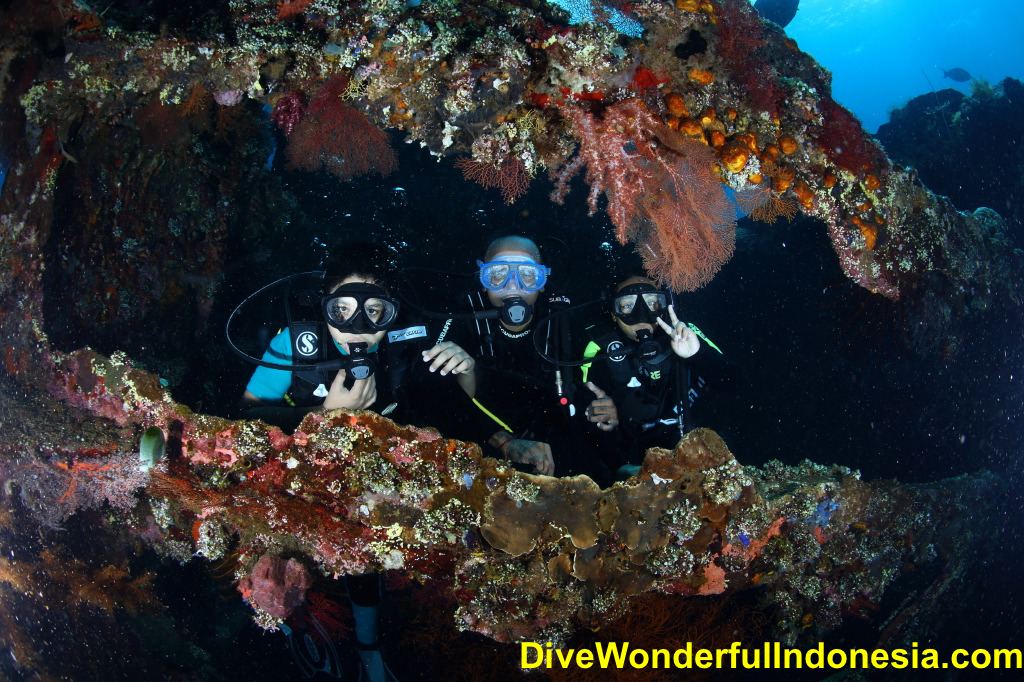Indonesian Diving Tourism - Photo Gallery - divewonderfulindonesia048