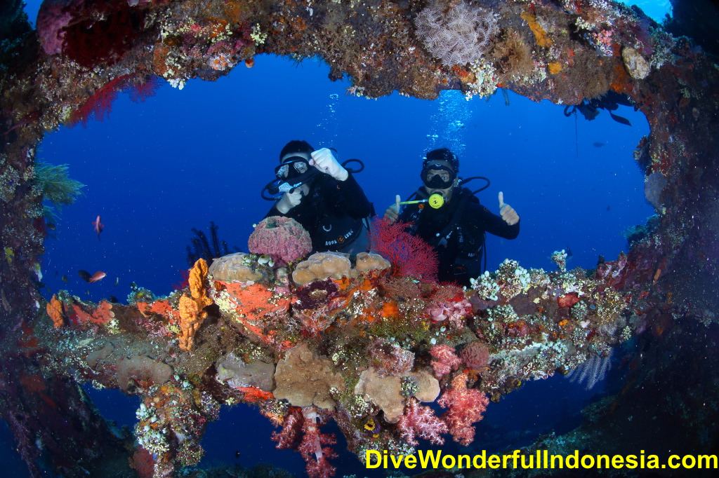 Indonesian Diving Tourism - Photo Gallery - divewonderfulindonesia098
