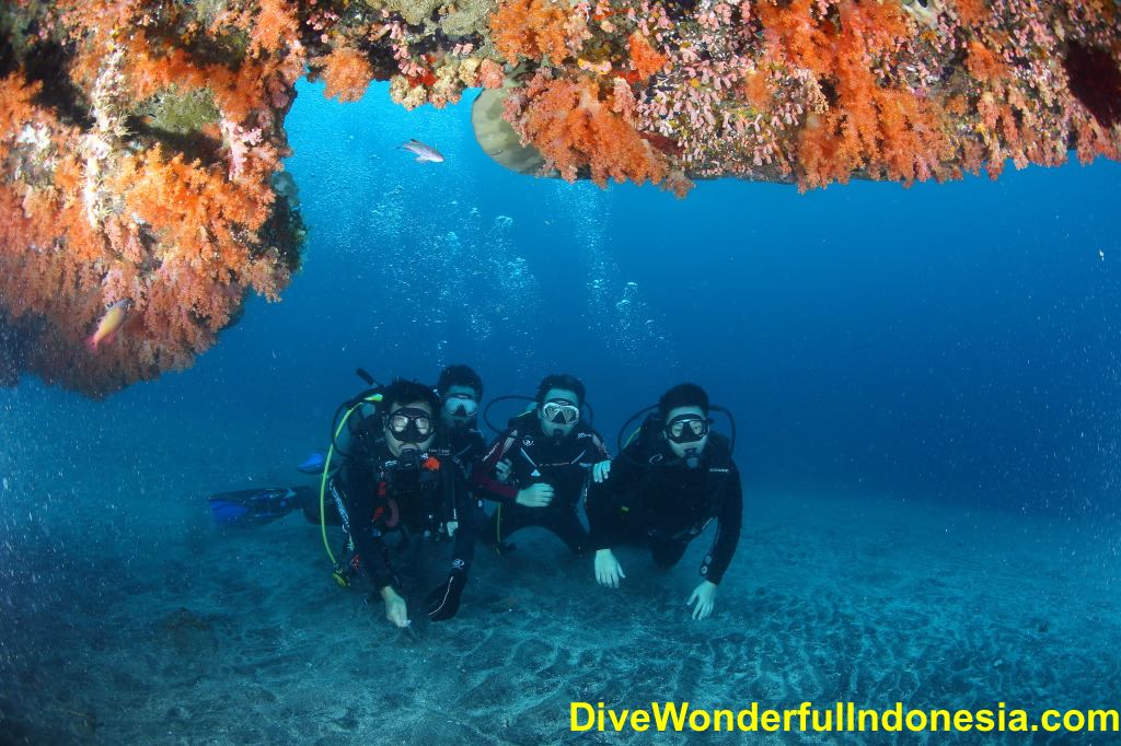 Indonesian Diving Tourism - Photo Gallery - divewonderfulindonesia1226