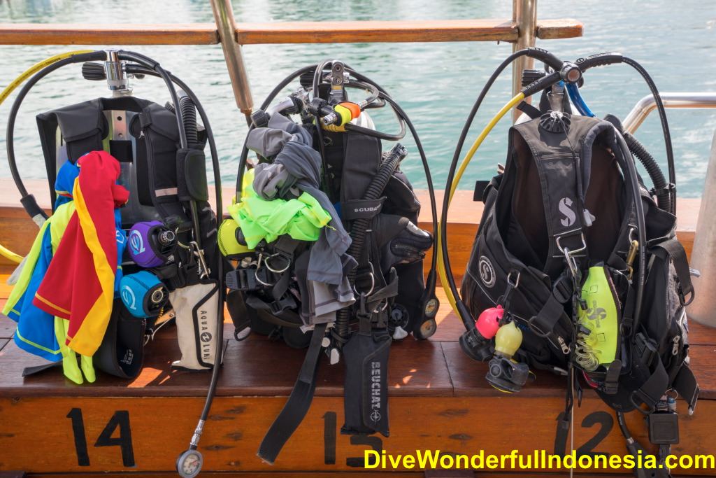 Indonesian Diving Tourism - Photo Gallery - divewonderfulindonesia164