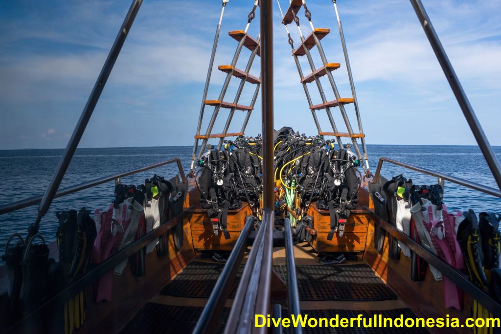 Indonesian Diving Tourism - Photo Gallery - divewonderfulindonesia200