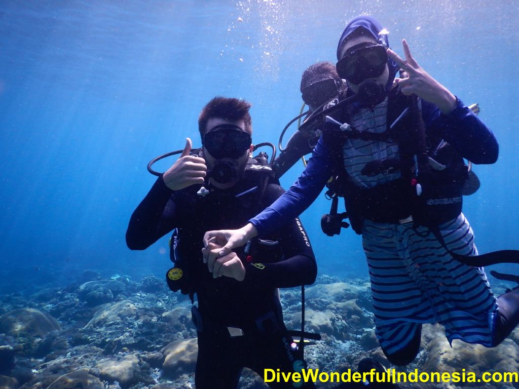 Indonesian Diving Tourism - Photo Gallery - divewonderfulindonesia442