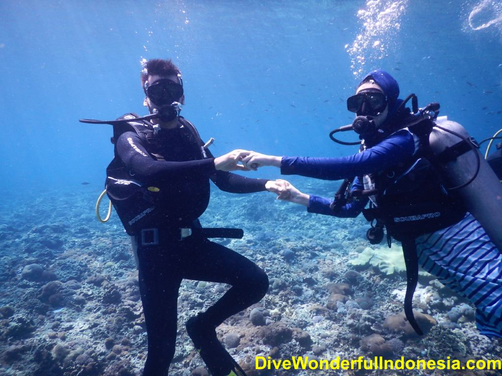 Indonesian Diving Tourism - Photo Gallery - divewonderfulindonesia444