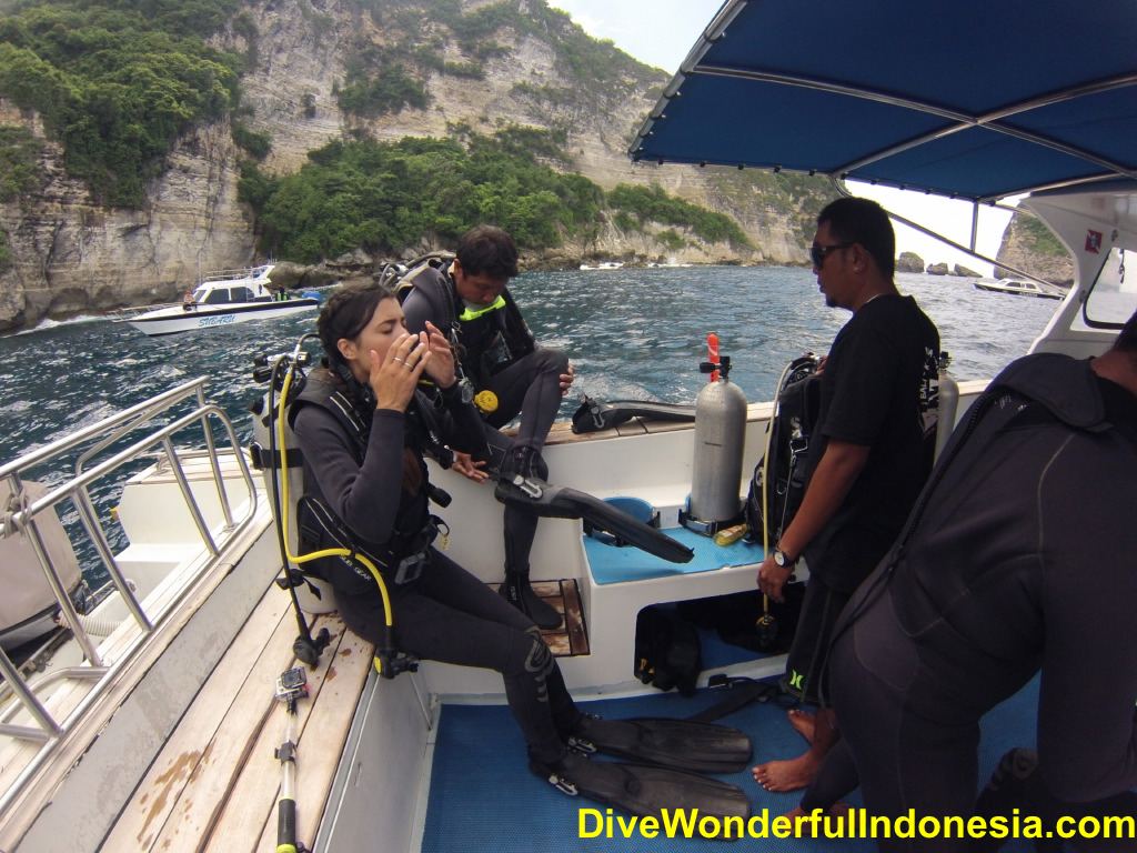 Indonesian Diving Tourism - Photo Gallery - divewonderfulindonesia518