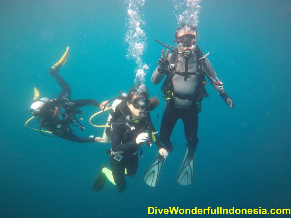 Indonesian Diving Tourism - Photo Gallery - divewonderfulindonesia638