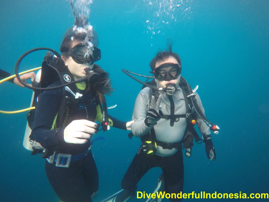 Indonesian Diving Tourism - Photo Gallery - divewonderfulindonesia639