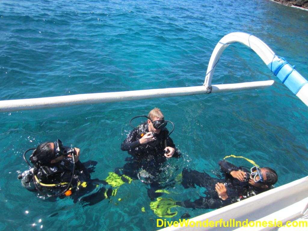 Indonesian Diving Tourism - Photo Gallery - divewonderfulindonesia749