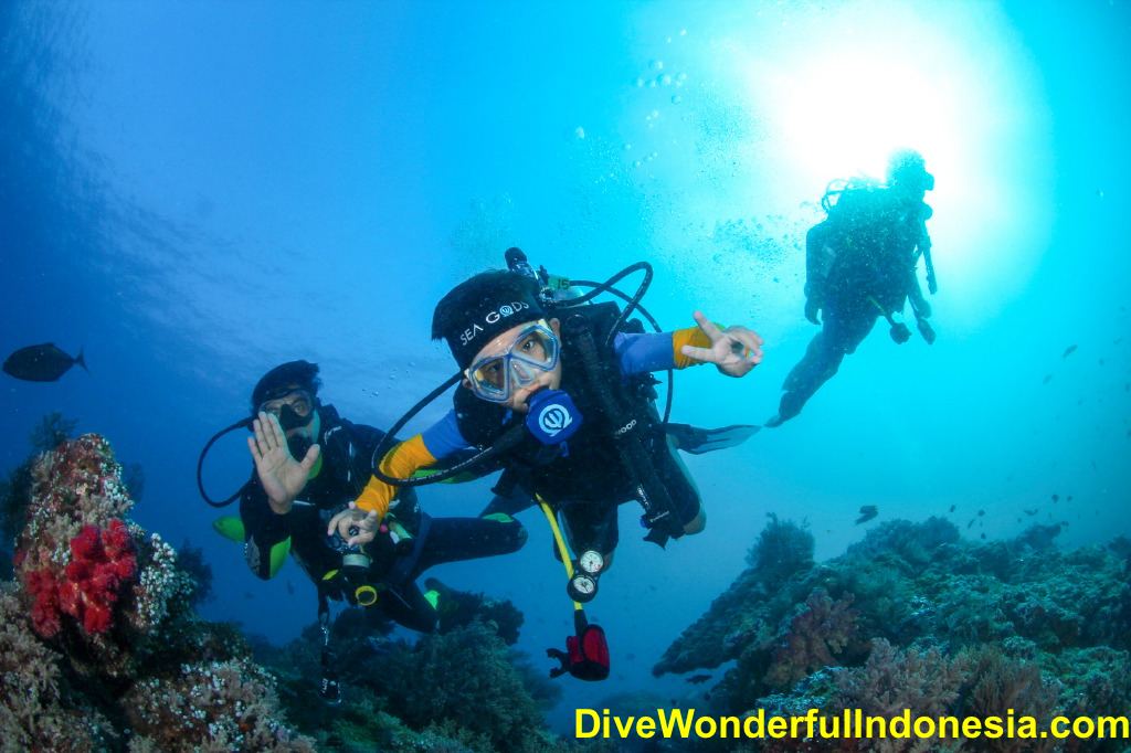 Indonesian Diving Tourism - Photo Gallery - divewonderfulindonesia820