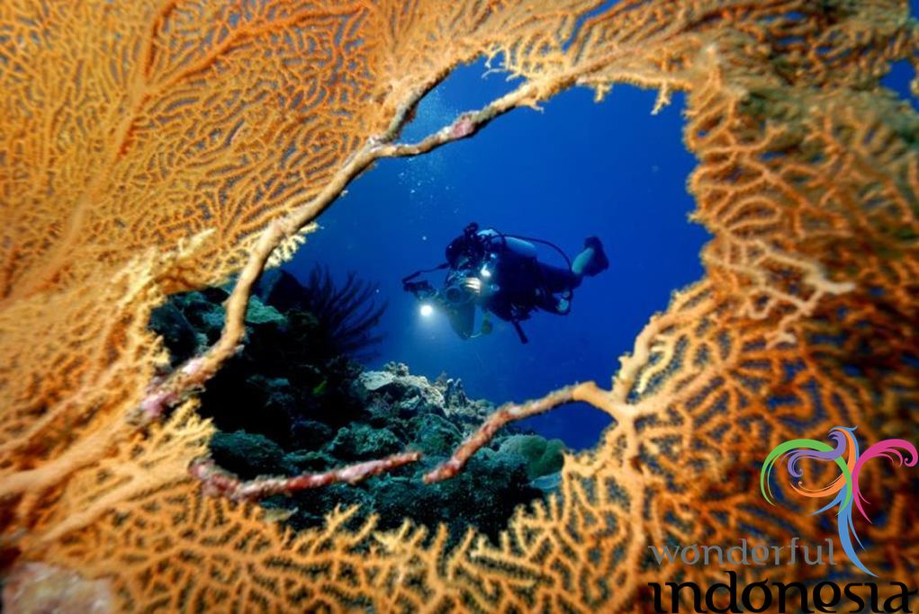 East Borneo - East Kalimantan Tourism - Photo Gallery - derawan islands ...