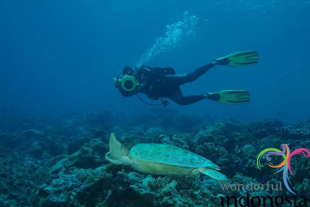 East Borneo - East Kalimantan Tourism - Photo Gallery - kakaban island ...