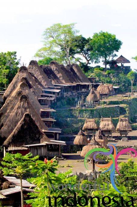 East Lesser Sunda - East Nusa Tenggara Tourism - Photo Gallery - bena ...