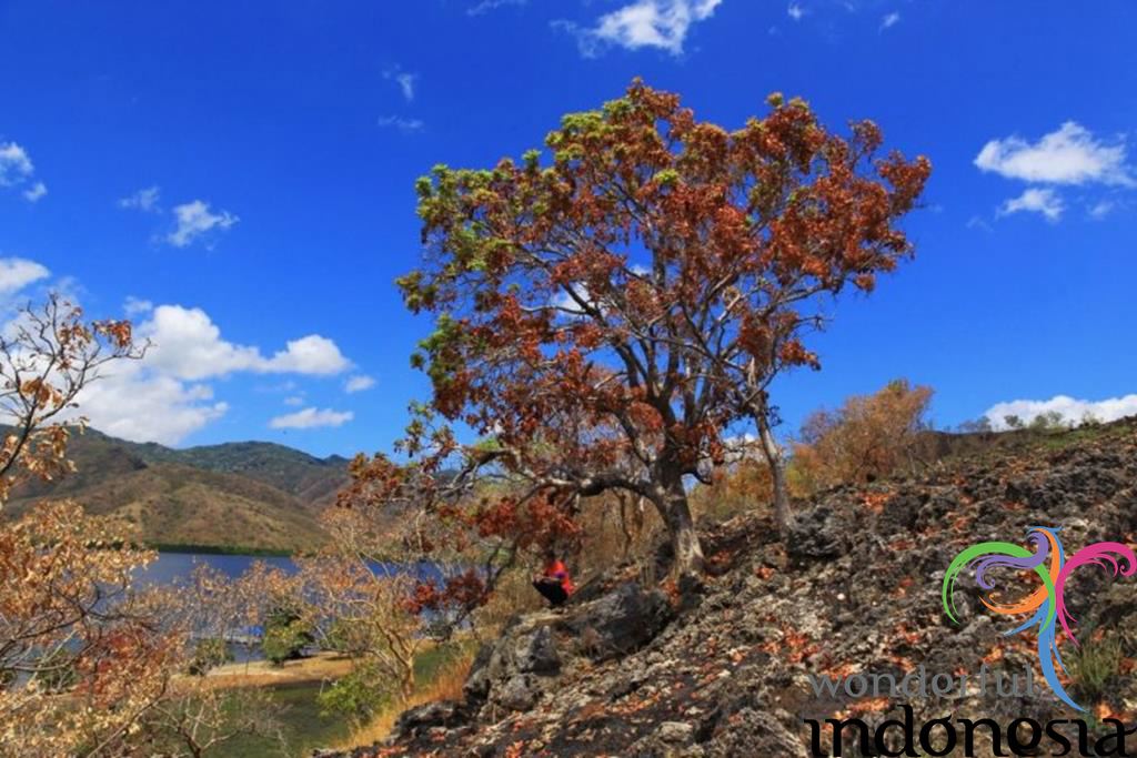 East Lesser Sunda - East Nusa Tenggara Tourism - Photo Gallery ...