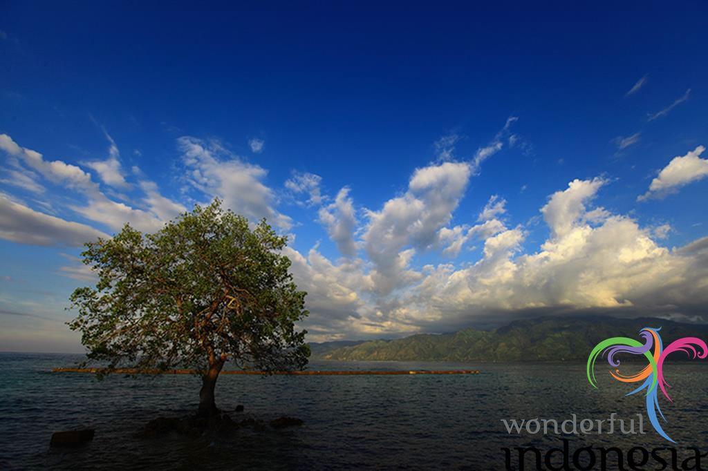 East Lesser Sunda - East Nusa Tenggara Tourism - Photo Gallery - mali ...