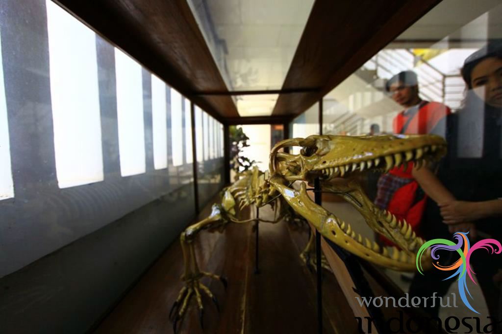 East Lesser Sunda - East Nusa Tenggara Tourism - Photo Gallery - museum ...