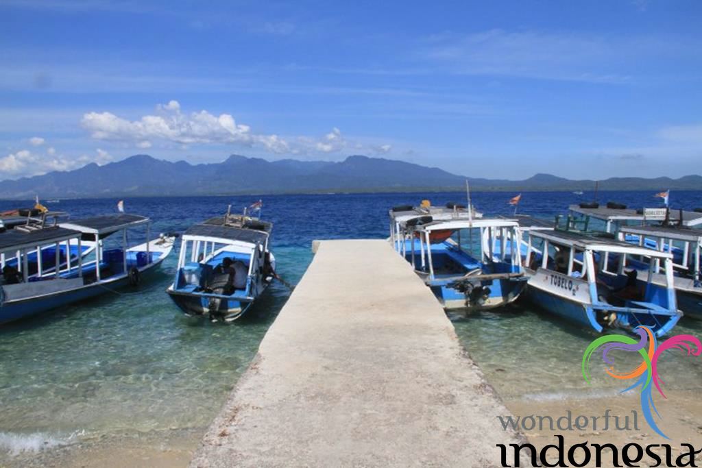 BALI INDONESIA Tourism - Photo Gallery - menjangan island bali 1