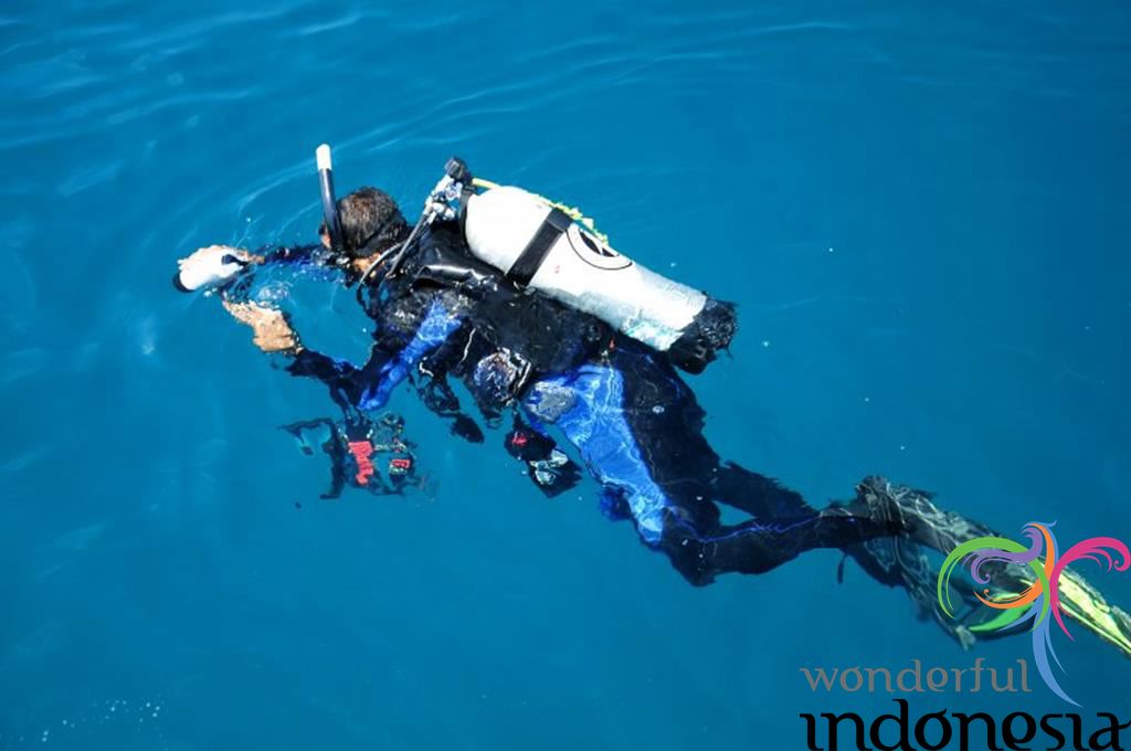 Des Beaux photos de Central java indonor wreck dive site karimunjawa 1.JPG