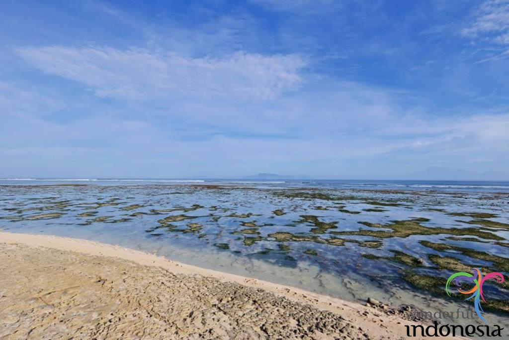 Regardez des photos de Java Est g land surf banyuwangi east java 2