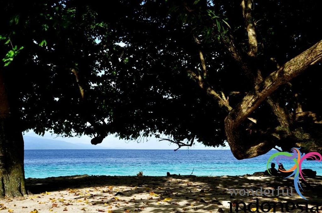 les Moluques - Maluku Tourisme liang beach ambon maluku 4