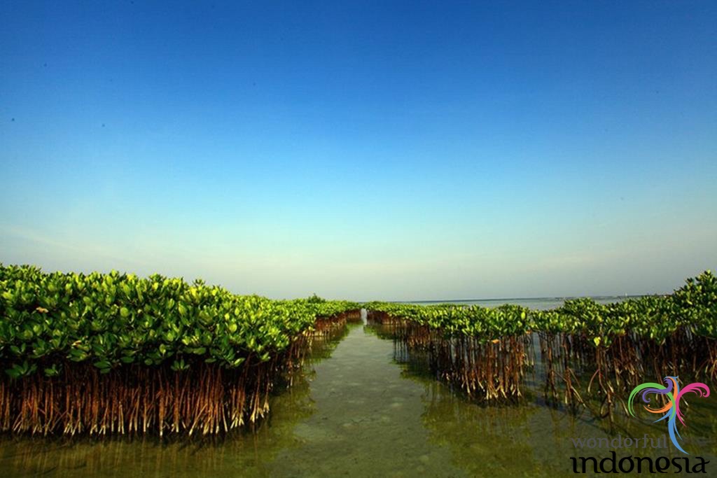 Jakarta Tourism - Photo Gallery pramuka island kepulauan seribu jakarta 3