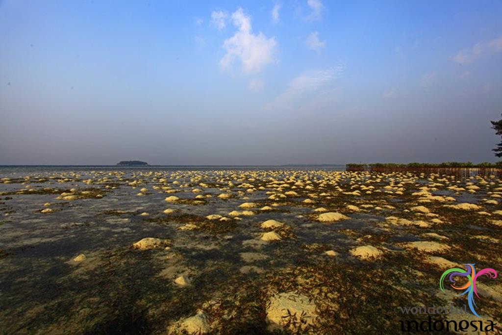Jakarta Tourism - Photo Gallery pramuka island kepulauan seribu jakarta