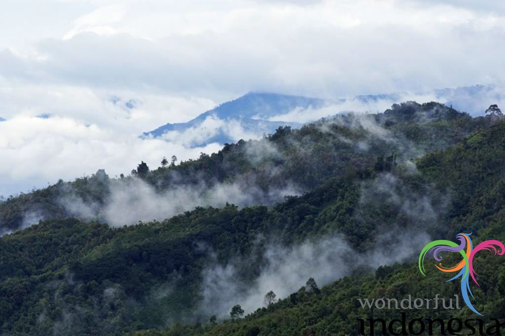Jambi Tourism - Photo Gallery - Sumatera Indonesia - kerinci seblat ...