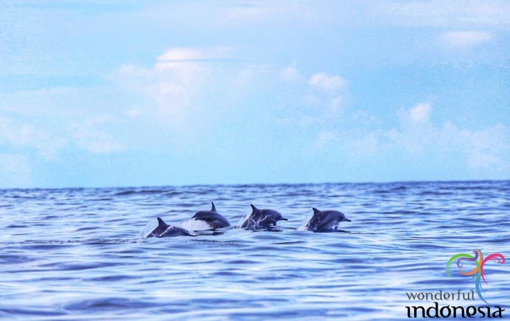 Lampung Tourism - Photo Gallery - kiluan bay tanggamus lampung 7