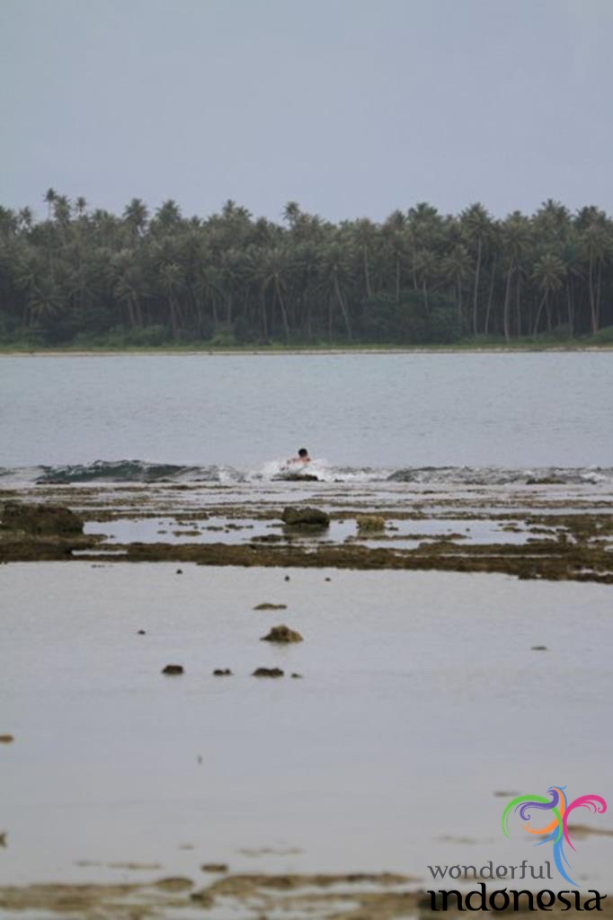 North Sumatra Tourism - Photo Gallery - sorake beach nias north sumatra 3
