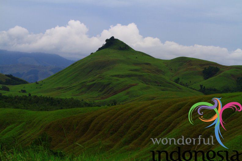 Papua Tourism - Photo Gallery - danau love jayapura papua 1