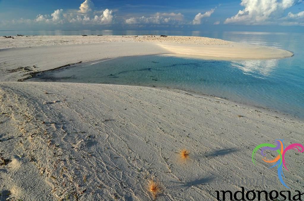 South Celebes Tourism - South Sulawesi: Ujungpandang - Makasar ...