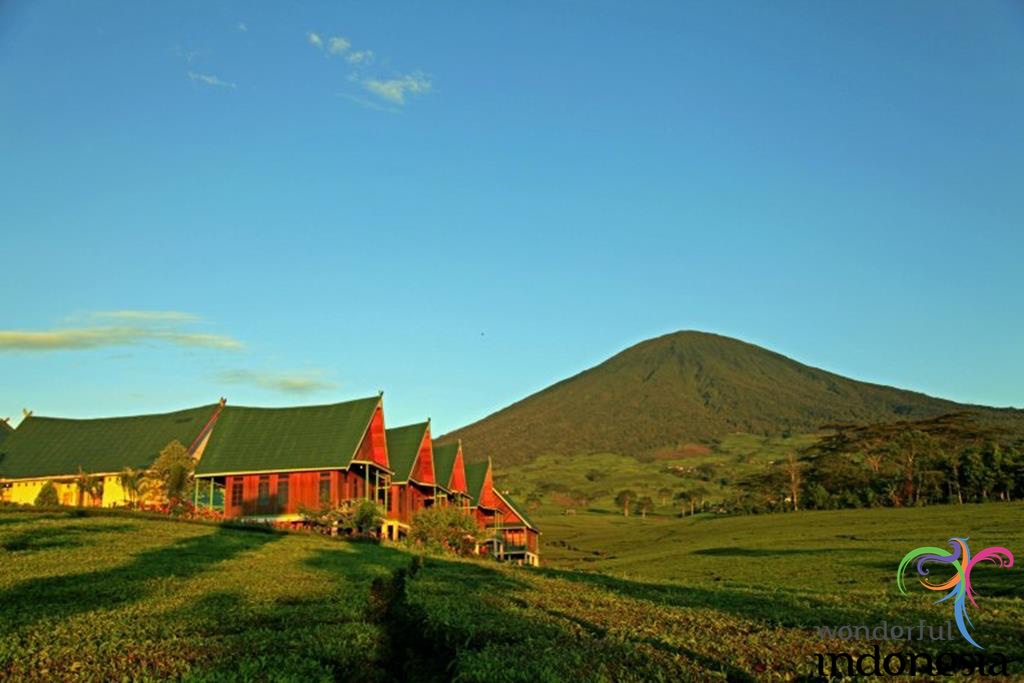 South Sumatra Tourism - Photo Gallery - mount dempo pagaralam south ...