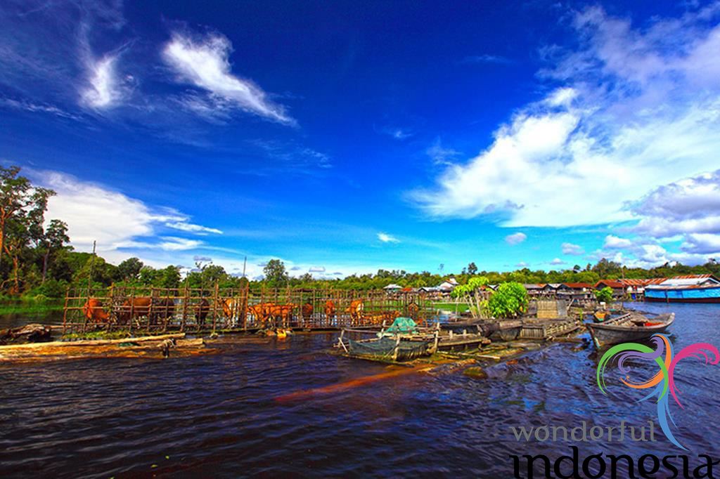 West Borneo - West Kalimantan Tourism - Photo Gallery - sentarum lake ...