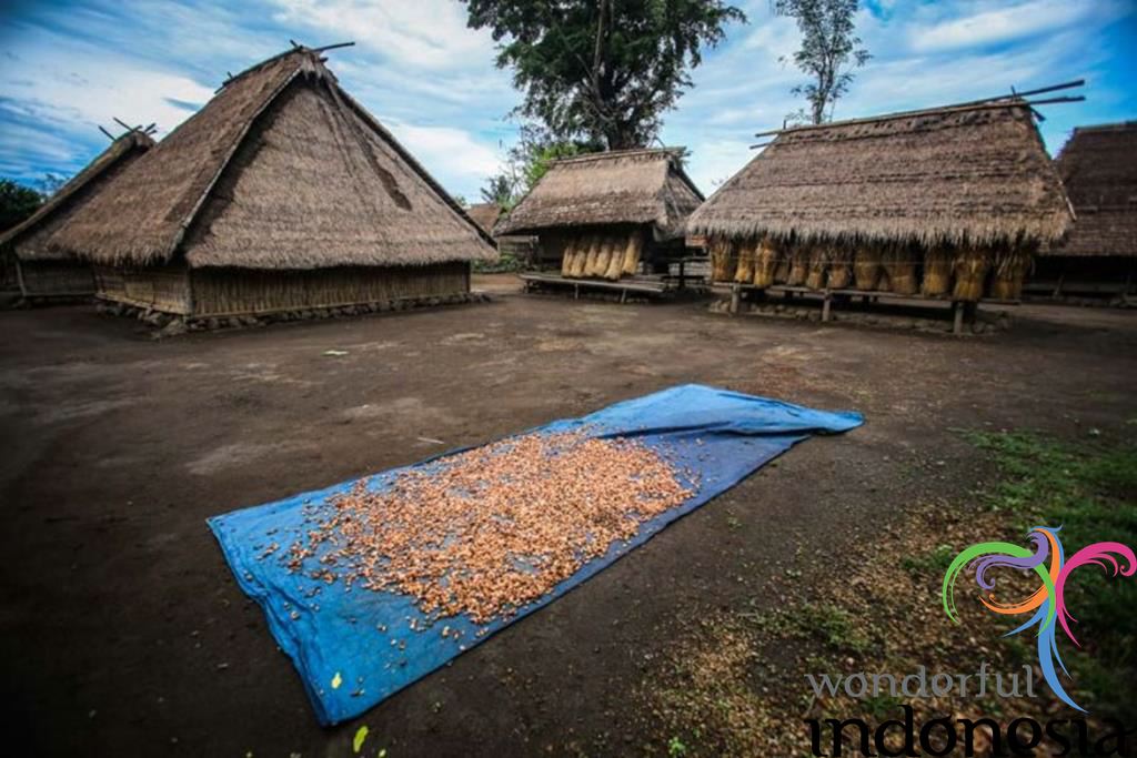 West Nusa Tenggara Tourism - Photo Gallery - bayan village north lombok 1