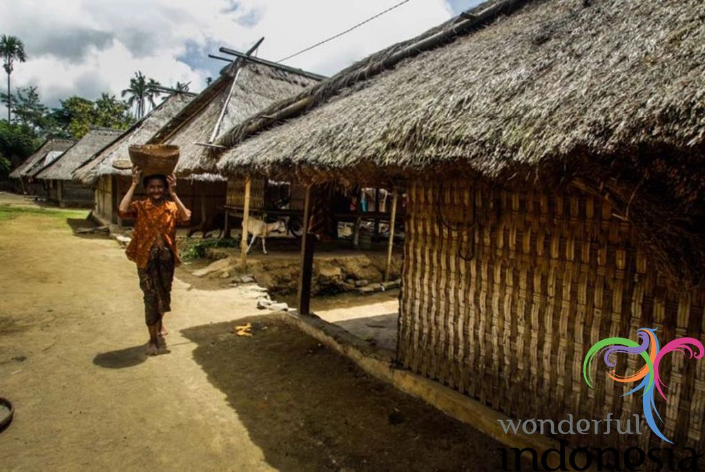 West Nusa Tenggara Tourism - Photo Gallery - bayan village north lombok 2