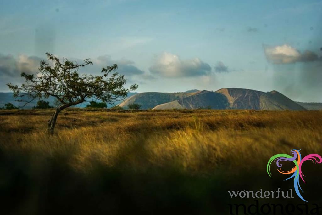 West Nusa Tenggara Tourism - Photo Gallery - dompu regency sumbawa island 2