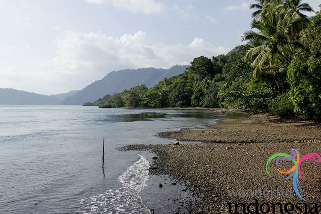 West Papua - West Irian Jaya Tourism - Photo Gallery - mayalibit bay ... West Papua - West Irian Jaya Tourism - Photo Gallery - mayalibit bay ...